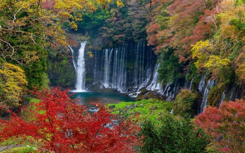 Mt Fuji : 10 hours Private Tour in Luxury Private Car - A detailed look at what this tour offers