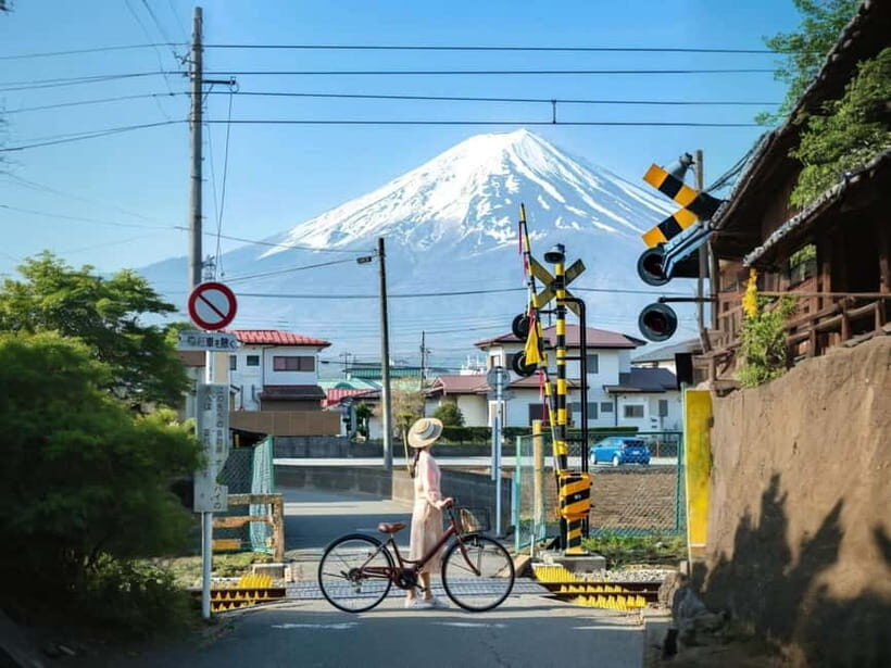 Mt Fuji 3 Lakes DayTrip from Tokyo: Shoji,Kawaguchi,Yamanaka - Key Points