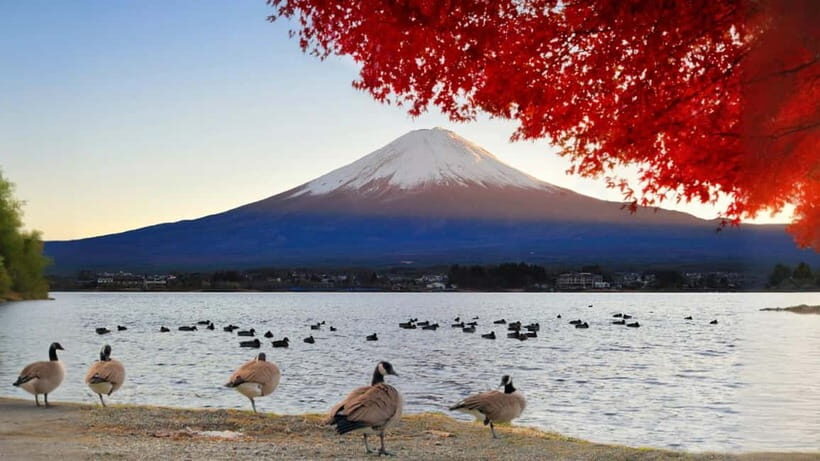 Mt Fuji 3 Lakes DayTrip from Tokyo: Shoji,Kawaguchi,Yamanaka - The Itinerary in Detail