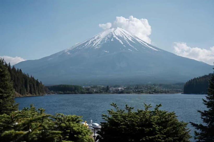 Mt Fuji 3 Lakes DayTrip from Tokyo: Shoji,Kawaguchi,Yamanaka - Who Would Love This Tour?