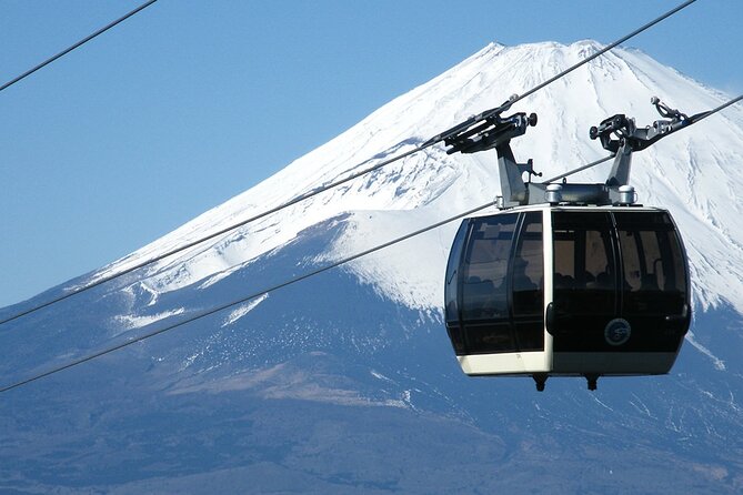 Mt. Fuji 5th Station and Hakone Day Tour From Tokyo - Highlights of the Tour