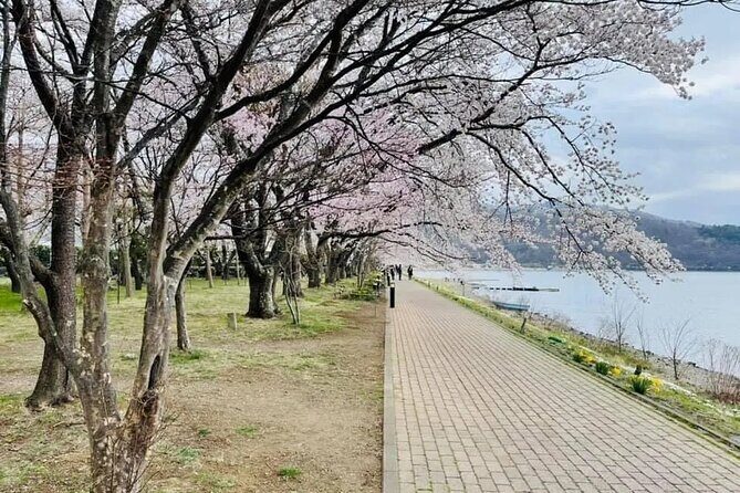 Mt Fuji 5th Station Kawaguchiko Gotemba Outlet mall Tour | Tokyo - Hidden Gems and Additional Cultural Stops