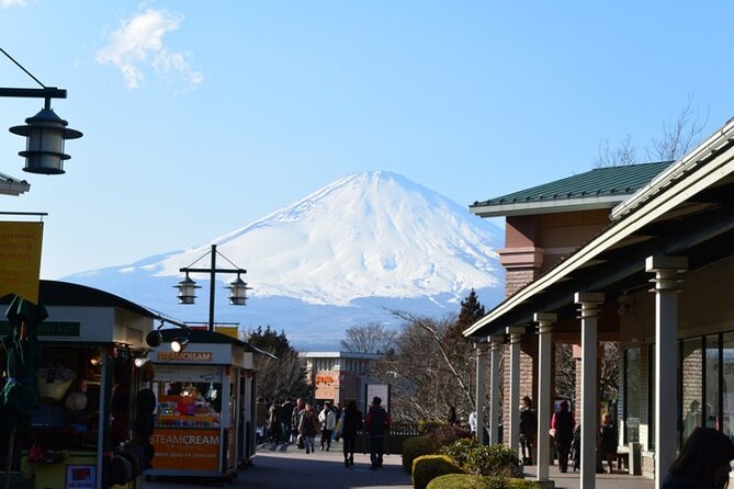 Mt. Fuji 5th Station, Oshino Hakkai and Hot Spring Day Trip - Accessibility and Participation Requirements