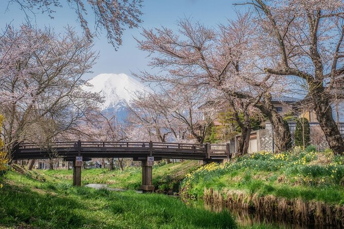 Mt. Fuji 5th Station, Oshino Hakkai and Hot Spring Day Trip - What to Expect on the Journey