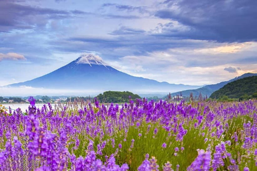 Mt. Fuji 6 Attractions Tour: Lake Kawaguchi, Oshino Hakkai - Detailed Breakdown of the Itinerary