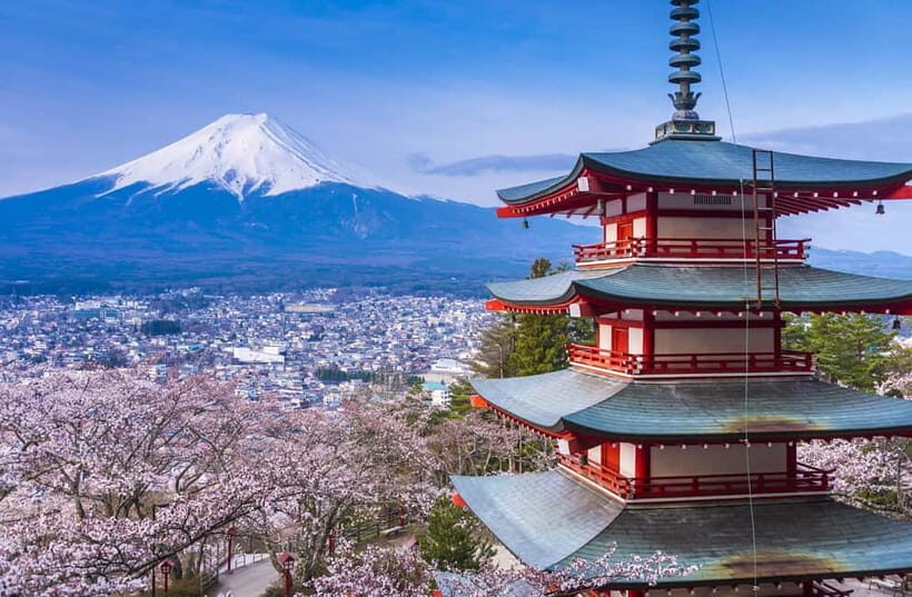 Mt. Fuji 6 Attractions Tour: Lake Kawaguchi, Oshino Hakkai - Who Would Love This Tour?
