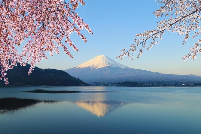 Mt. Fuji and Cherry Blossom Day Trip With English Speaking Driver - Key Points