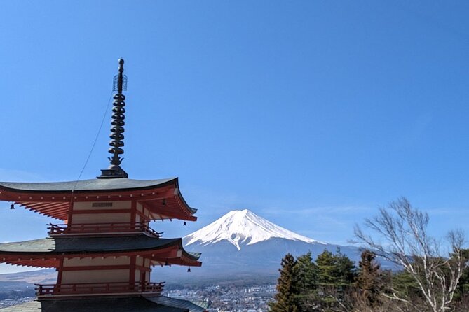 Mt. Fuji and Cherry Blossom Day Trip With English Speaking Driver - Seasonal Highlights