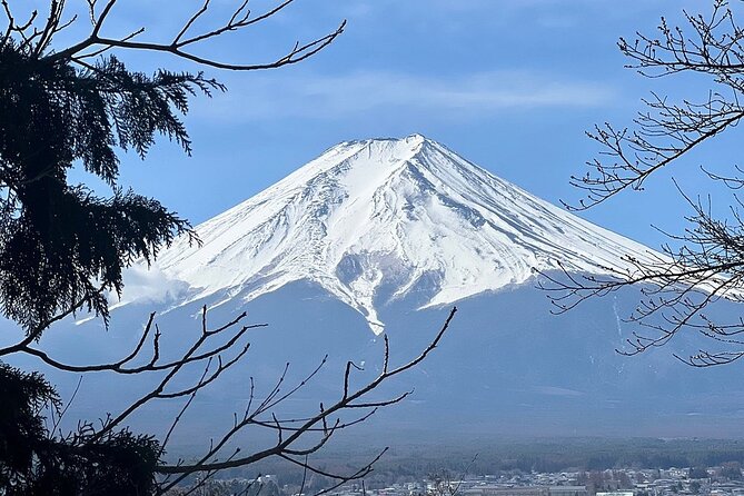 Mt. Fuji and Cherry Blossom Day Trip With English Speaking Driver - Accessibility and Special Requirements