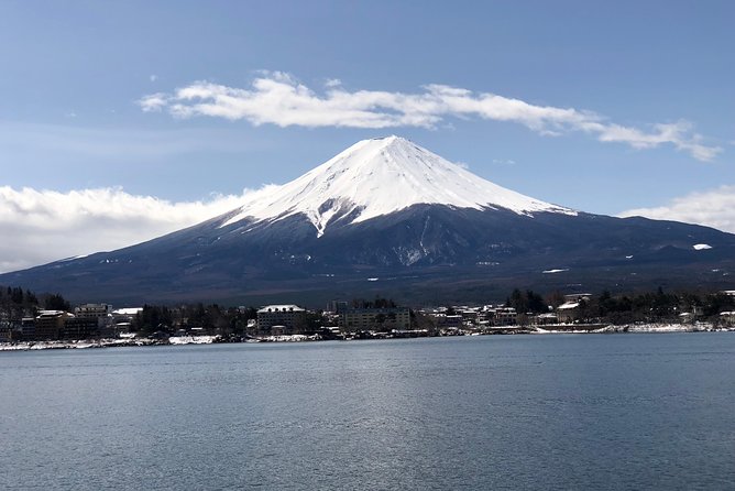 Mt Fuji and Gotemba Outlet Tour From Tokyo - Meeting Points and Pickup Details