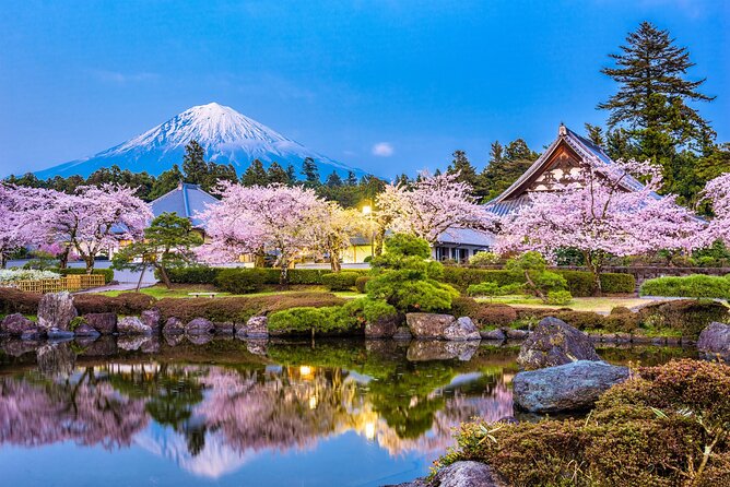 Mt Fuji and Gotemba Outlet Tour From Tokyo - Customer Feedback and Ratings