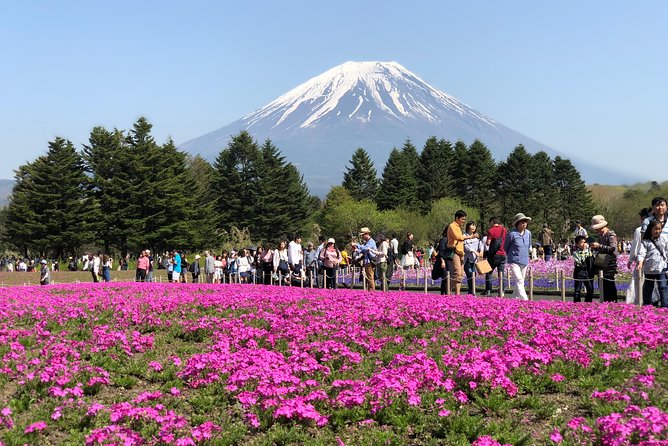 Mt Fuji and Gotemba Outlet Tour From Tokyo - Exploring Lake Kawaguchi