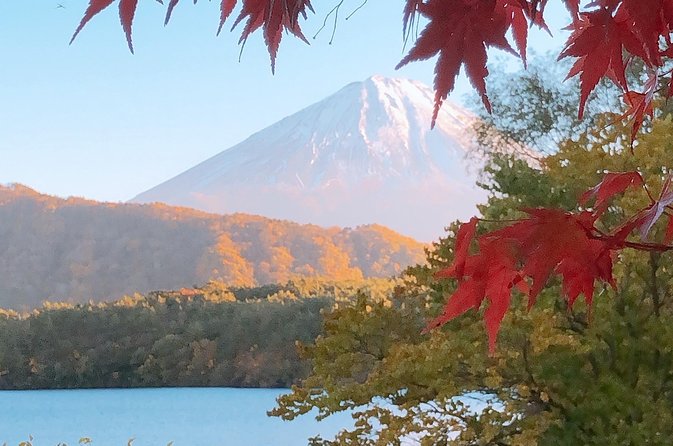 Mt Fuji and Gotemba Outlet Tour From Tokyo - Discovering Iyashi No Sato