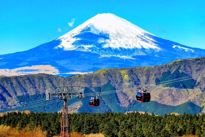 Mt Fuji and Hakone 1-Day Bus Tour Return by Bus - Lunch Options