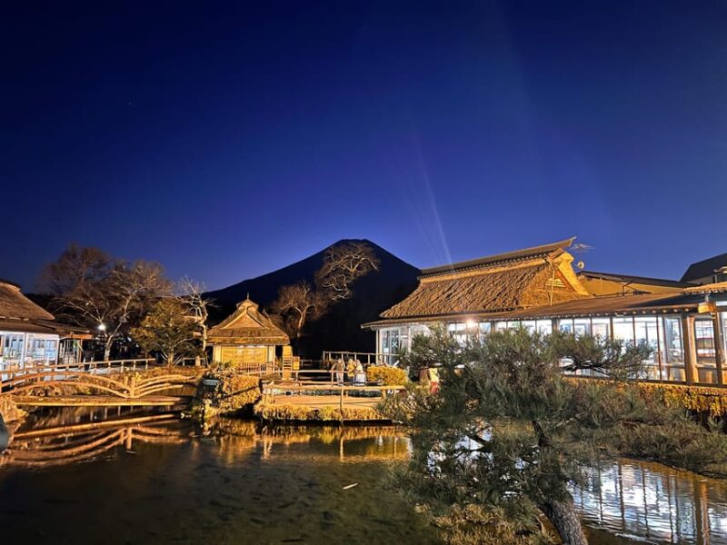 Mt. Fuji and Hakone Day Trip With Private Vehicle and Guide - Scenic Experiences