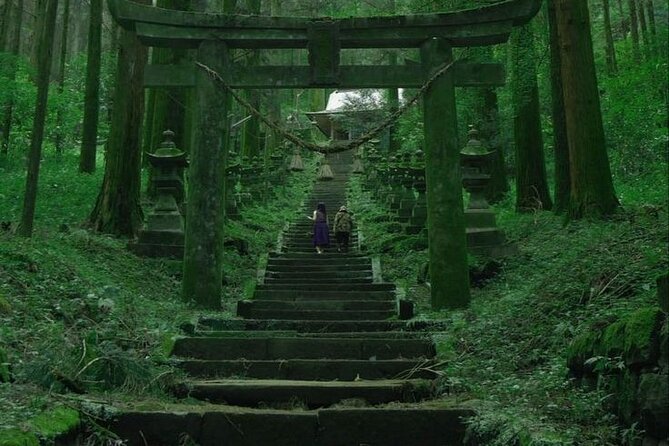 Mt. Fuji and Hakone Full Day Tour With English Speaking Driver - Highlights of the Tour