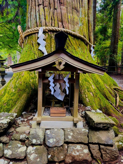 Mt. Fuji and Hakone Lake Ashi One Day Private Tour - Key Points