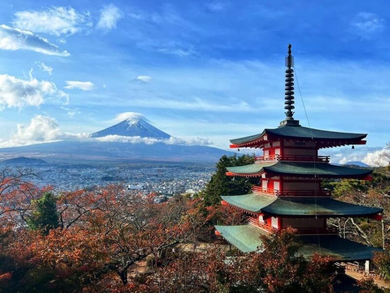 Mt. Fuji and Hakone Lake Ashi One Day Private Tour - Important Information