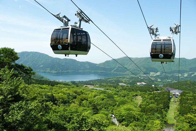 Mt.Fuji and Hakone Private SightSeeing Day Tour(from Tokyo) - Accessibility