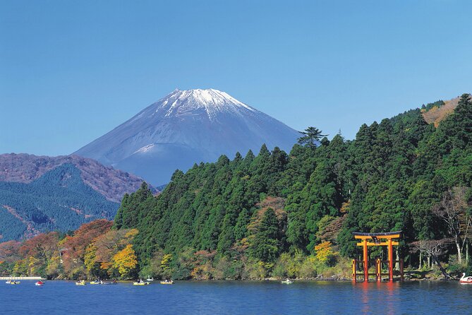 Mt.Fuji and Hakone Private SightSeeing Day Tour(from Tokyo) - Hakone Attractions