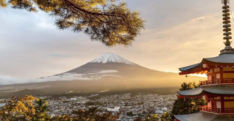 Mt Fuji and Hakone-Private Tour With English Speaking Driver - Accessibility and Additional Information