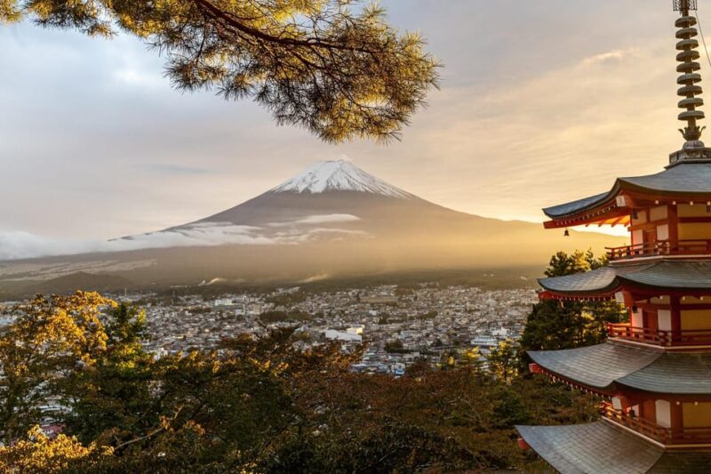 Mt Fuji and Hakone-Private Tour With English Speaking Driver - What to Expect on the Tour