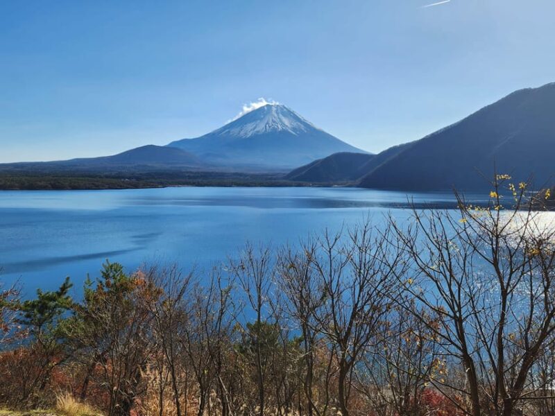 Mt Fuji and Hakone Private Tour With English Speaking Driver - Key Points
