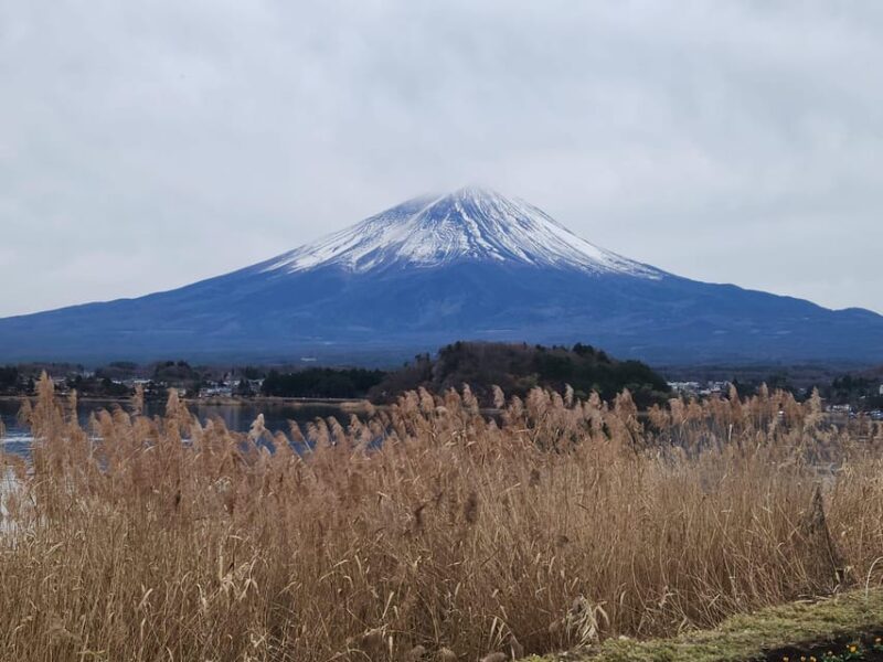 Mt Fuji and Hakone Private Tour With English Speaking Driver - Itinerary and Highlights