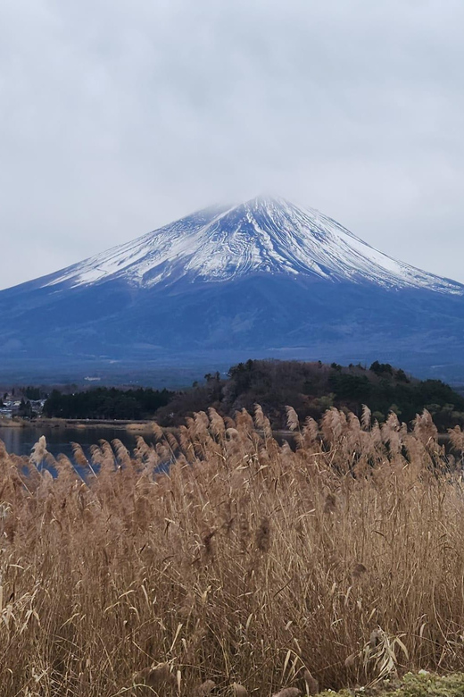 Mt Fuji and Hakone Private Tour With English Speaking Driver - Cancellation and Refund Policy