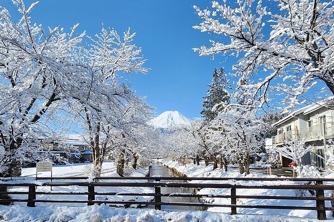 Mt. Fuji and Hakone Private Tour With English Speaking Driver - Key Points