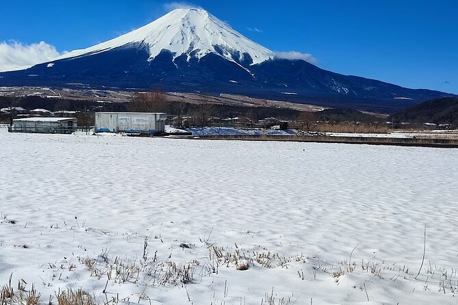 Mt. Fuji and Hakone Private Tour With English Speaking Driver - Confirmation and Booking Process