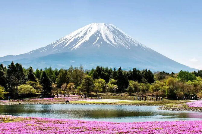 Mt. Fuji and Hakone Private Tour With English Speaking Driver - Pricing and Cancellation Policy