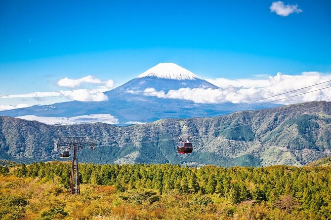 Mt. Fuji and Hakone Private Tour With English Speaking Guide - Accessibility and Additional Information