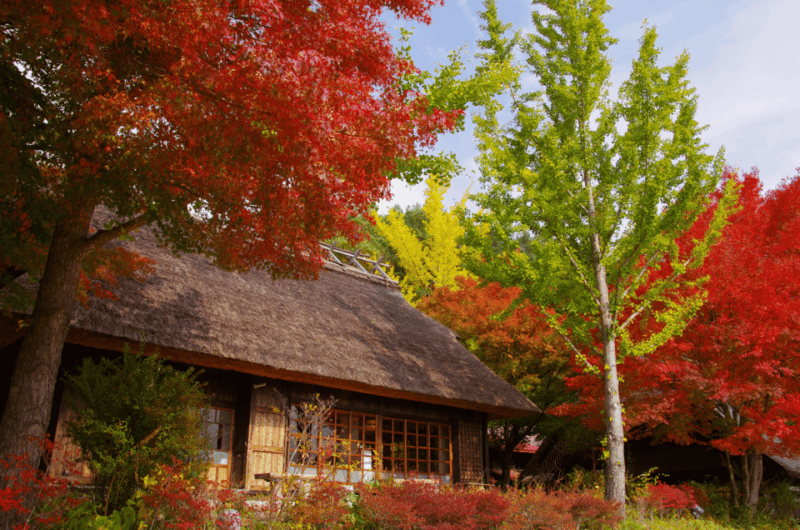 Mt.Fuji and Hakone Tour - Exploring Hakone