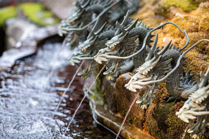 Mt.Fuji and Hakone Tour - Tour Experience and Guides