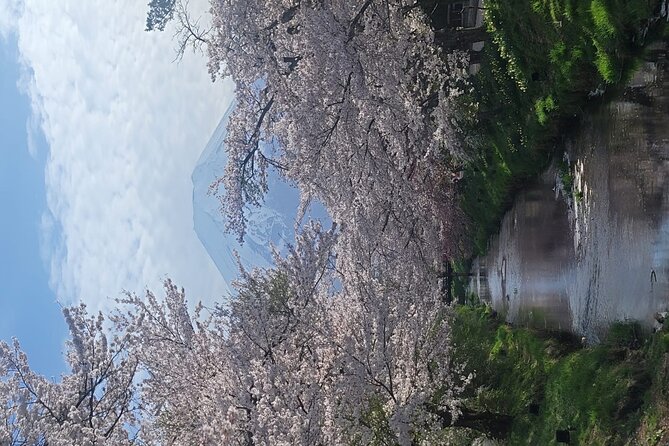 Mt Fuji and Lake Kawaguchi Day Trip With English Speaking Driver - Positive Feedback