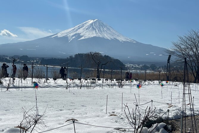 Mt Fuji and Lake Kawaguchi Day Trip With English Speaking Driver - Recommendation