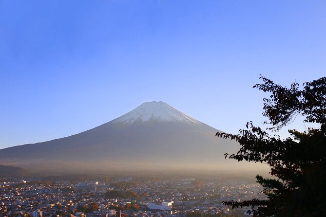 Mt. Fuji and Lake Kawaguchi Day Trip With Private Car - Customizing Your Tour