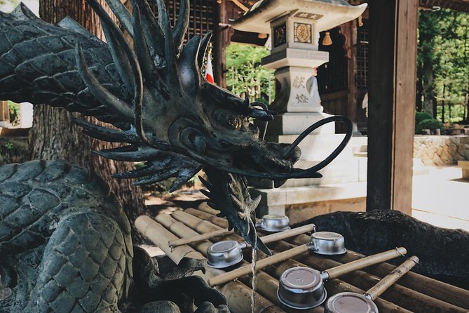 Mt Fuji Area Private Guided Tours in English-Nature up Close, Quiet, Personal - Immerse Yourself in Saiko Lake