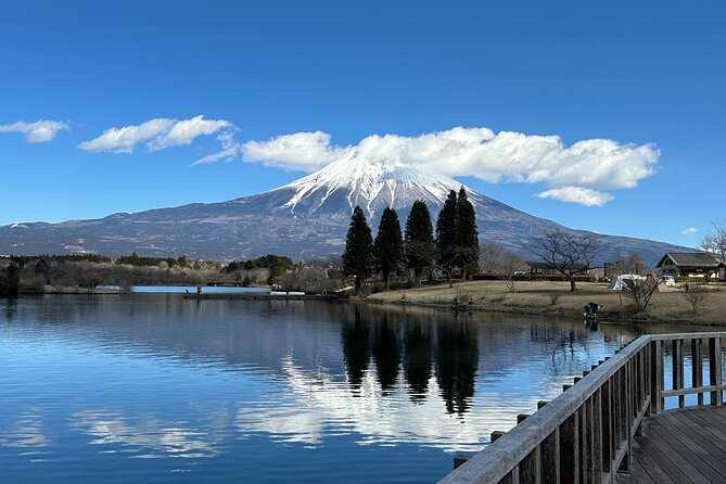 Mt.Fuji Area Tour From Shimizu Port /Sedan Taxi - Meeting and Pickup