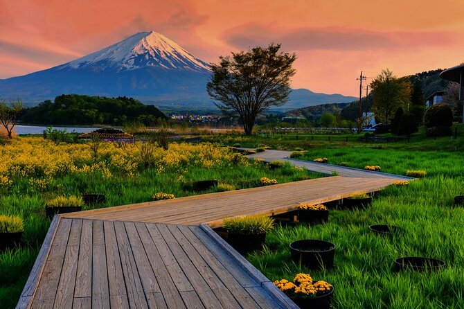 Mt. Fuji Area Tour Tokyo DEP: English Speaking Driver, No Guide - Reviews and Ratings