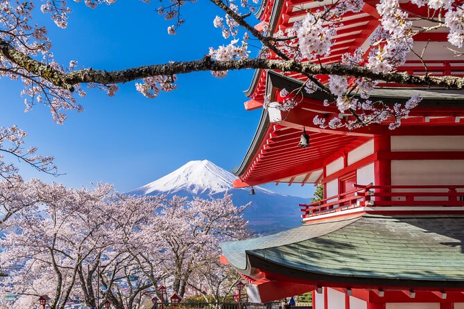 Mt. Fuji Area Tour Tokyo DEP: English Speaking Driver, No Guide - Itinerary Options
