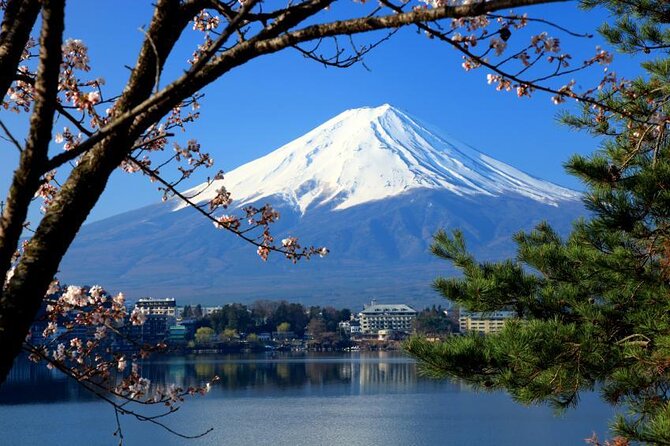 Mt. Fuji & Cherry Blossom Day Tour With English Speaking Driver - Traveler Experiences and Reviews