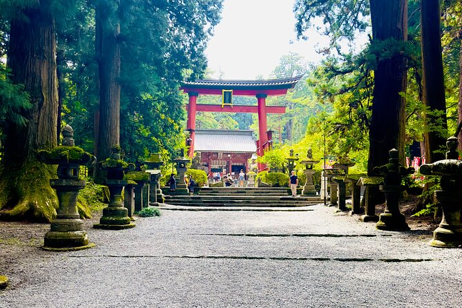 Mt. Fuji & Cherry Blossom Day Tour With English Speaking Driver - Highlights and Activities