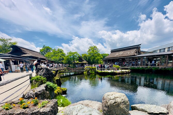 Mt. Fuji & Cherry Blossom Day Tour With English Speaking Driver - The Scenic Route to Mt. Fuji