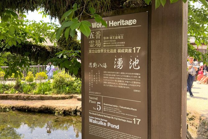 Mt. Fuji Cherry Blossom One Day Private Tour With Pickup - Reviews and Ratings