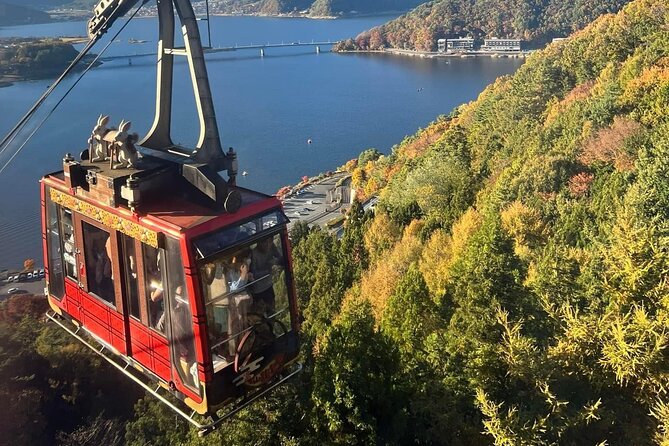 Mt. Fuji Cherry Blossom One Day Private Tour With Pickup - Booking Details