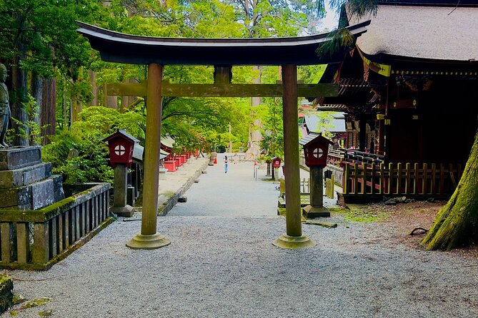 Mt. Fuji Cherry Blossom One Day Private Tour With Pickup - Exploring Mt. Fuji and the Cherry Blossoms