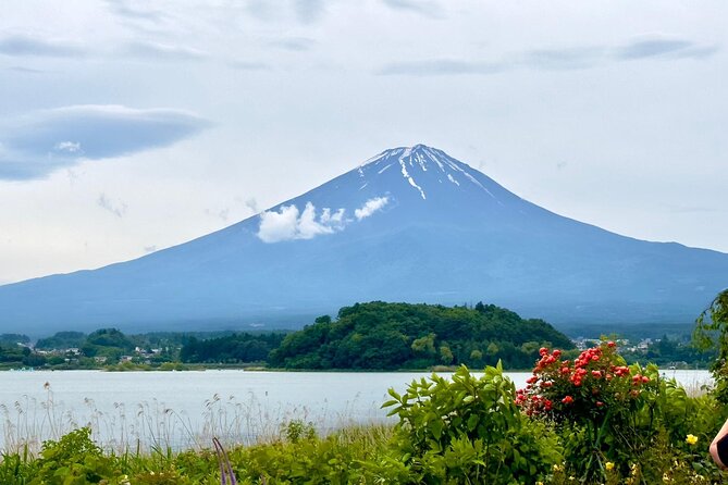 Mt. Fuji Cherry Blossom One Day Private Tour With Pickup - Flexible Transportation Options