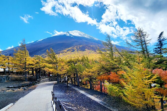 Mt Fuji Day Tour by Car With English Speaking Driver - Inclusions in the Tour Package
